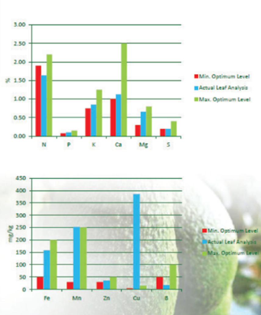 Why leaf & soil sampling are important - Agri Technovation